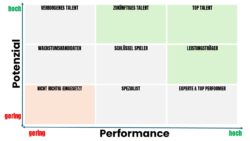 Talente mit der Performance Potential Matrix managen